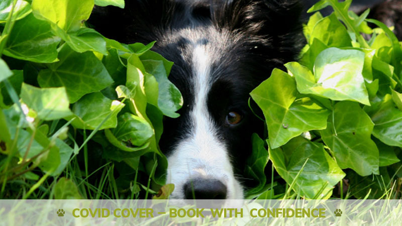 Costs & Rates Available | Home from Home